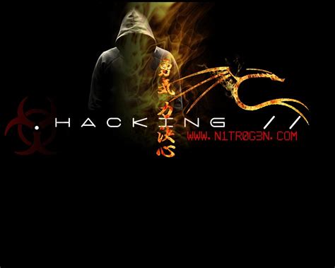Ethical Hacker Wallpapers Wallpaper Cave