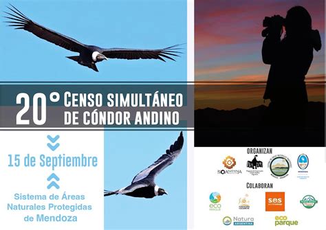 Programa Programa Conservación Cóndor Andino