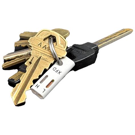 Dual Frequency X Series Field Detector Keychain Rfid And Nfc Chip