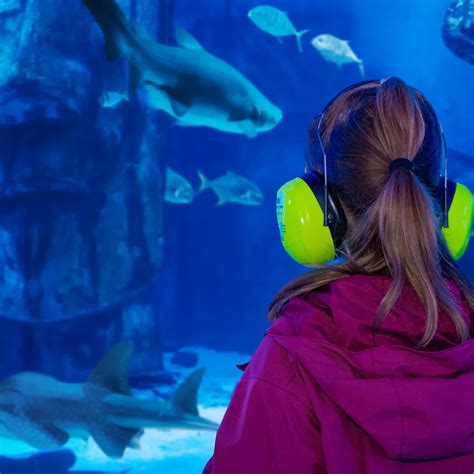 Sensory Guide Sea Life Weymouth Aquarium