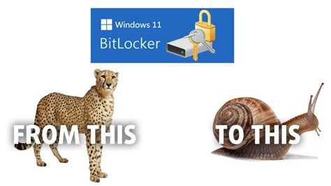 Windows 11 Bitlocker 保护会降低固态硬盘的运行速度，如何禁用它？ Laptopmedia 中国
