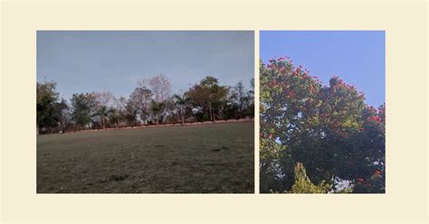 String Of 3 Haiku September Heart To Hearts