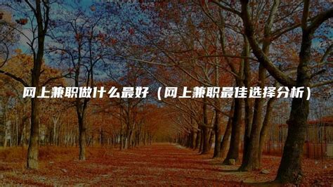 网上兼职做什么最好（网上兼职最佳选择分析） 高羽网创