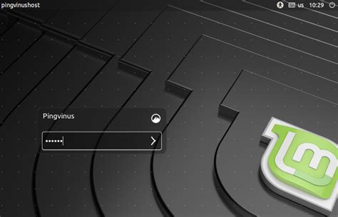 Установка Linux Mint Самое подробное руководство Linux статьи