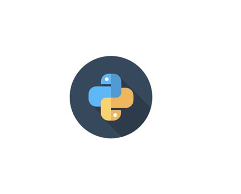 Teach You Python Programming By Benji19967 Fiverr