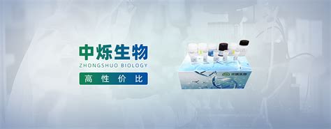 人p38蛋白elisa试剂盒：原理、操作及结果解读 深圳中烁生物技术有限公司