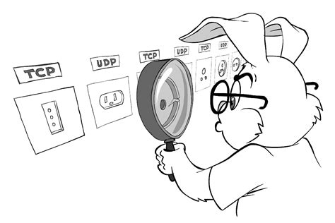 آموزش سوکت با رابط کاربری Netconn و سیستم عامل FreeRTOS در STM دانشنامه ردرونیک