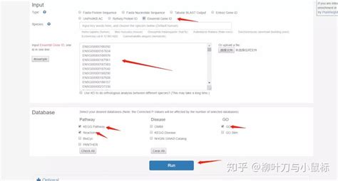 零代码功能富集分析（david数据库、kobas数据库使用教程） 知乎