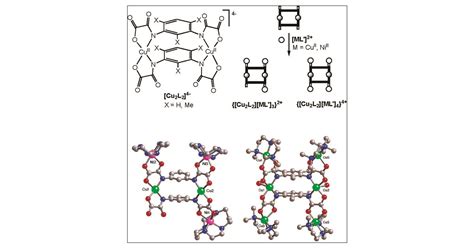 Molecular Programmed Self Assembly Of Homo And Heterometallic Penta And Hexanuclear