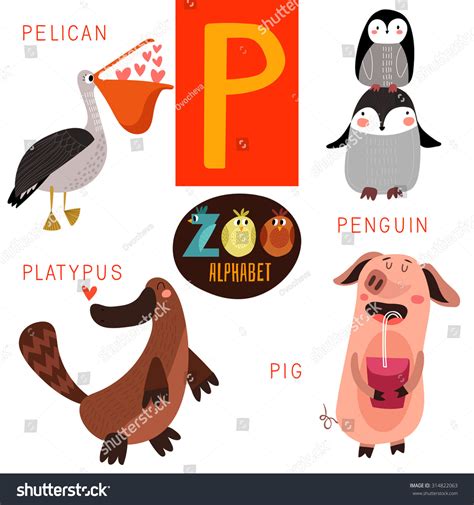 벡터p 문자펠리칸펭귄플라티푸스돼지다양한 스타일의 알파벳 디자인 스톡 벡터로열티 프리 314822063 Shutterstock