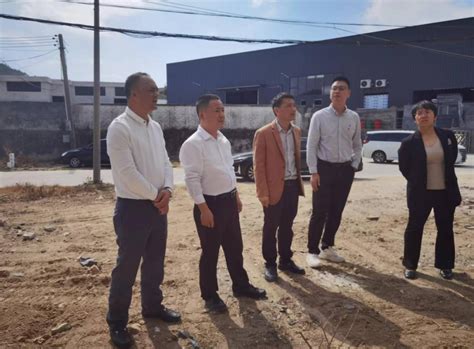 【百千万工程】李坤到东平镇调研“百千万工程”典型村建设工作 阳江市阳东区人民政府门户网站