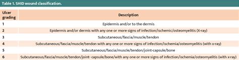 Table 1 From The Shid Wound Classification System For Diabetic Foot