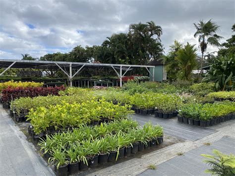 General 1 — Kauai Seascapes Nursery