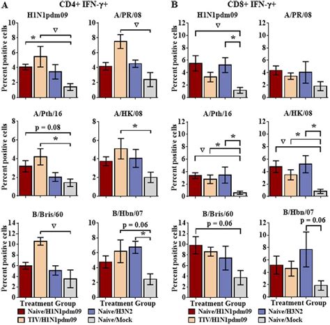 Extensive T Cell Cross Reactivity Between A Diverse Selection Of