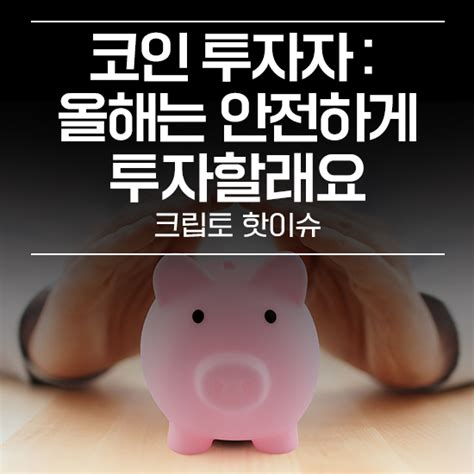 코인 투자자 올해는 안전하게 투자할래요 에임리치