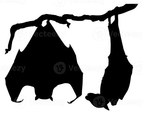 Chauve Souris Endormie Sur La Silhouette De Larbre De Branche Pour L