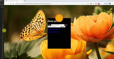 TUTO Création d un formulaire Design en CSS sur Tuto com TUTO Création d un formulaire Design en CSS sur Tuto com