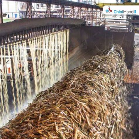 Baghpat Sugarcane Crushing Season Begins In Sugar Mills Chinimandi