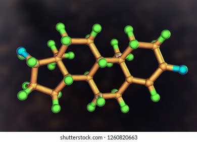 Secondary Sex Characteristics Images Stock Photos Vectors Shutterstock