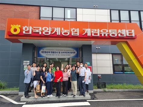 등급판정계란 품질 직접 눈으로 확인한다”