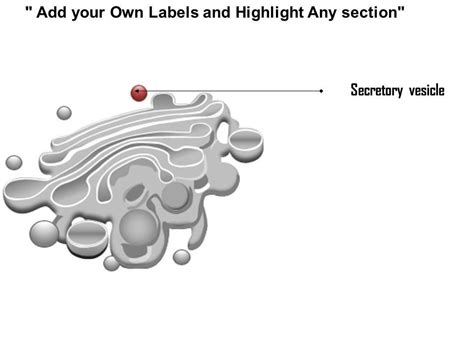 Golgi Apparatus Medical Images For PowerPoint Templates PowerPoint Presentation Slides