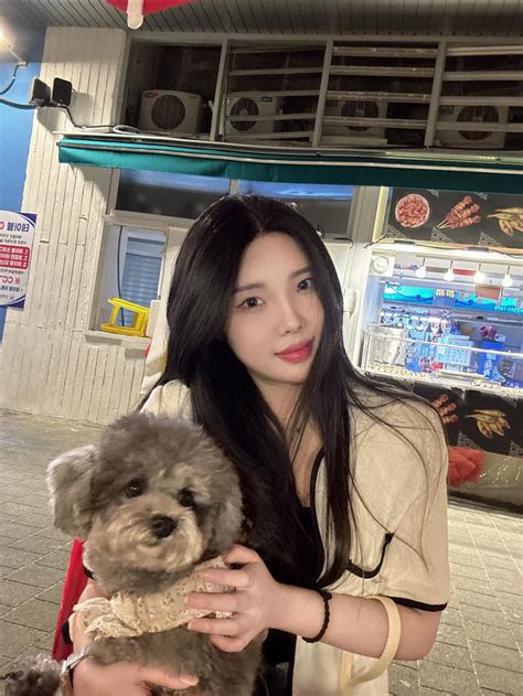 인천 야무진 애견카페 추천해죠라 같이 산책할싸람