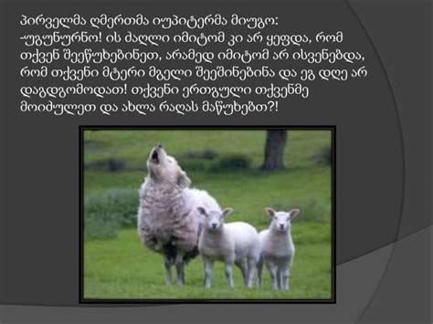 ძაღლი და ცხვრები Pptx