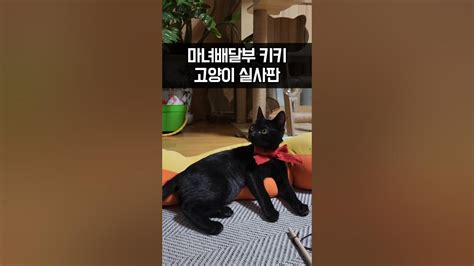 마녀배달부 키키 고양이 실사판🖤 영롱하다 영롱해 Youtube