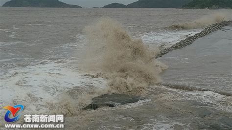 大渔湾海域出现巨浪 苍南新闻网