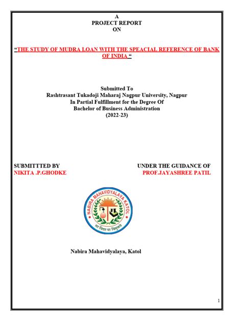 Nikita Ghodke Pdf Methodology Microfinance