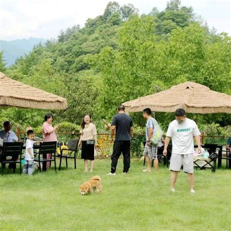 陕西日报刊发 留坝中西沟村：好生态带来好光景谭利军发展建设