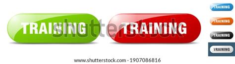 Training Button Sign Key Push Button Stock Vector Royalty Free
