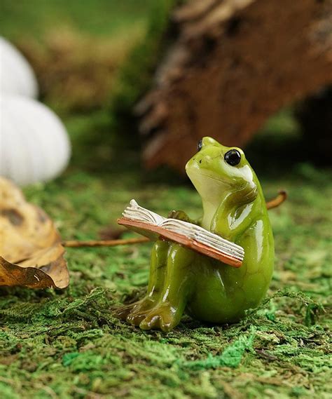 Take A Look At This Little Reading Frog Figurine Today Frog Terrarium