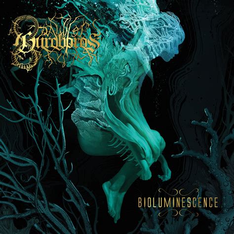 Progressive Black Metal Band Dawn Of Ouroboros Releases Title Single
