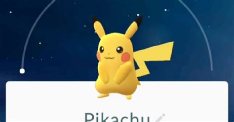 포켓몬 Go 열풍 정준영·엑소 찬열 등 연예인 군단 속초행 가세 대박