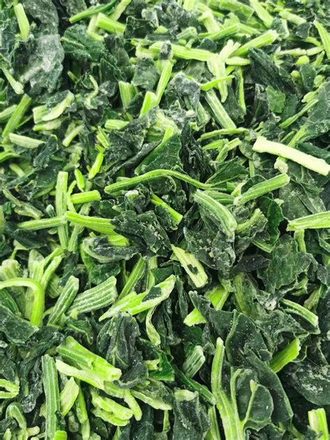 安丘三涛食品提供速冻蔬菜调理肉制品 FoodTalks食品供需平台