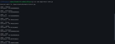 Golang Example To Read Local Image And Detect Labels · Issue 42