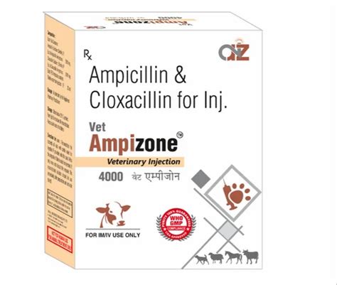 Ampizone Amoxycillin And Cloxacillin Injection At Rs 138 Veterinary Injection In New Delhi Id