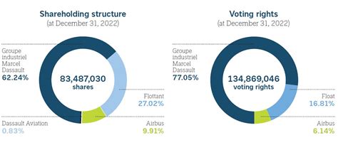 Shareholding Structure And Organization Chart