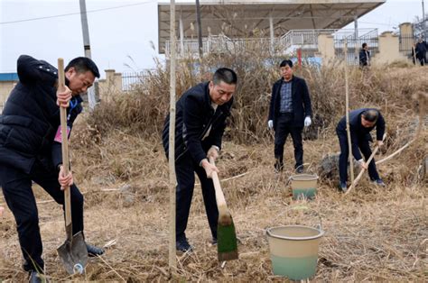 我县开展2023年义务植树活动生态全县卢永贤