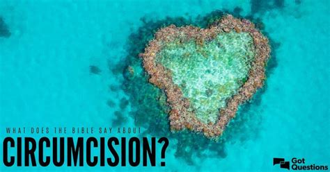 Got Questions Circumcision At Keith Joseph Blog