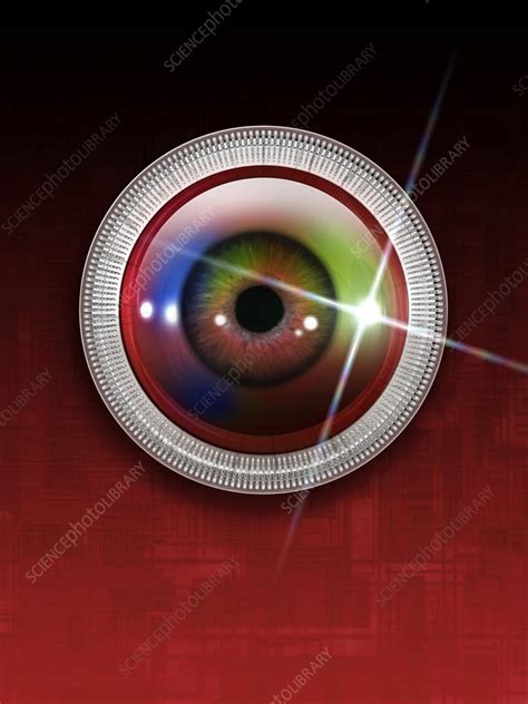 Biometric Eye Scan Artwork Stock Image C0016984 Science Photo