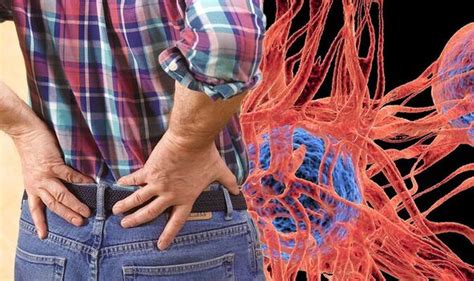 Prostate Cancer Symptoms Signs Include Back Pain That Doesnt Go Away
