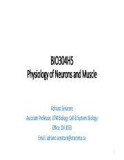 Understanding Ion Channels P Loop Channel Selectivity Explained