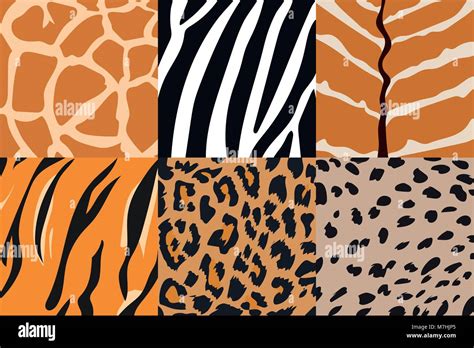 Vector Illustration Of Tiger Zebra Giraffe Cheetah Nyala And