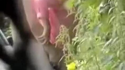 Voyeur Camera Spying Couple Having Sex In The Bushes