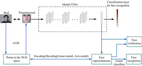 Face Representation By Deep Learning A Linear Encoding In A Parameter Space Deepai