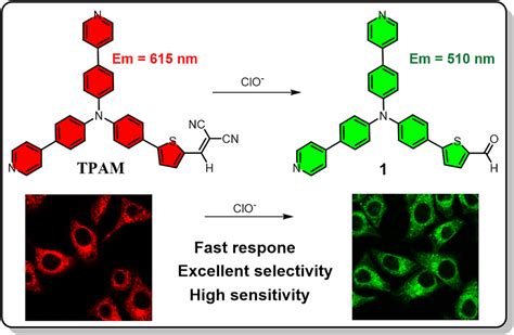 A Ratiometric Fluorescent Probe For Rapid And Specific Detection Of Hypochlorite Chen 2024