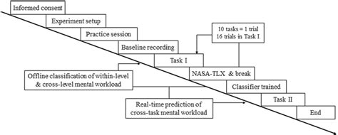 Framework Procedure And Flowchart Of The Experiment Download