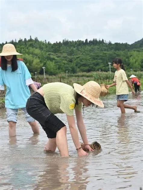 东稻主闽中忙种田！第四届大洋插秧文化节来了